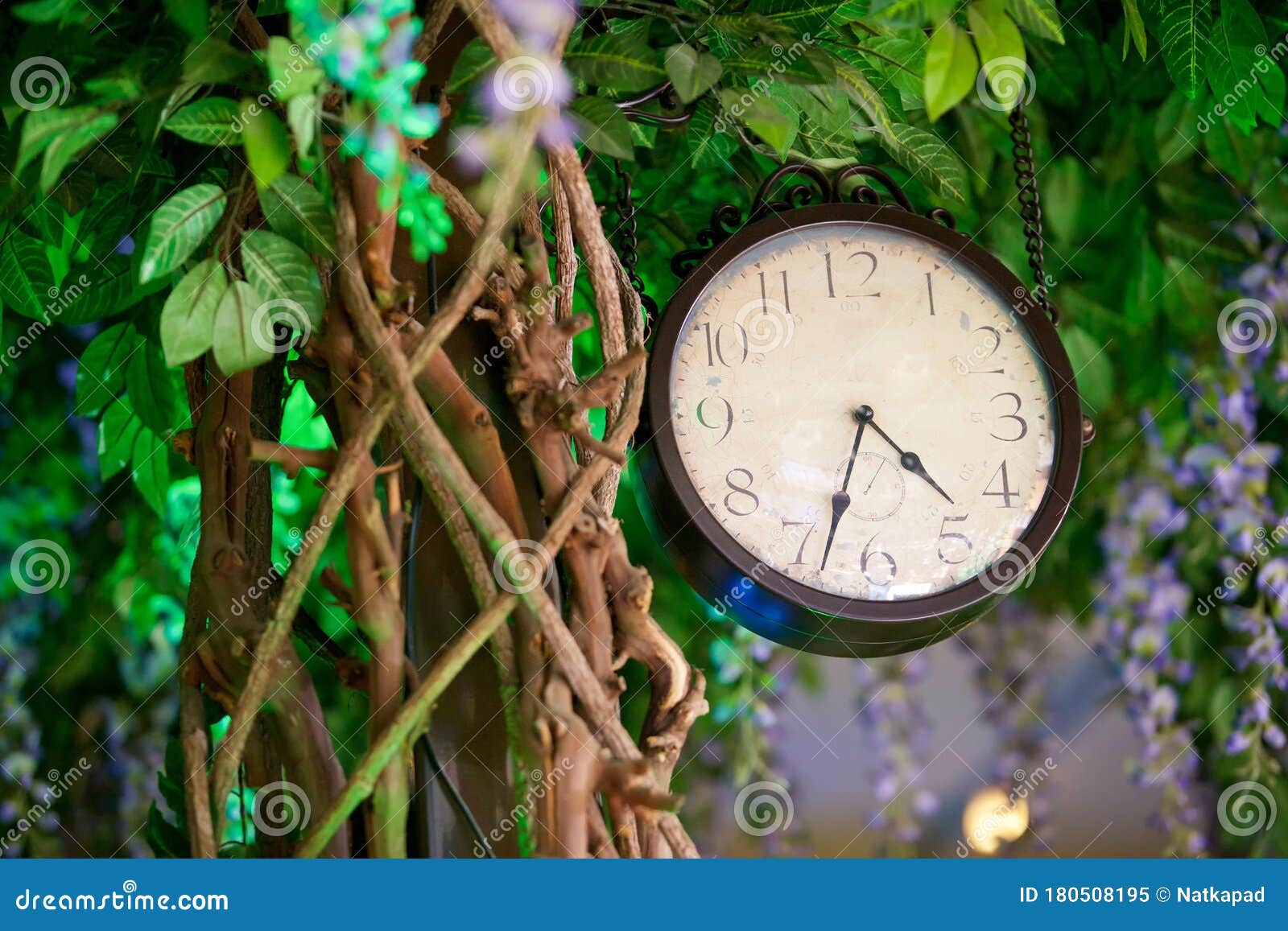 The Clock that Hangs on the Tree Stock Image - Image of plants, modern ...