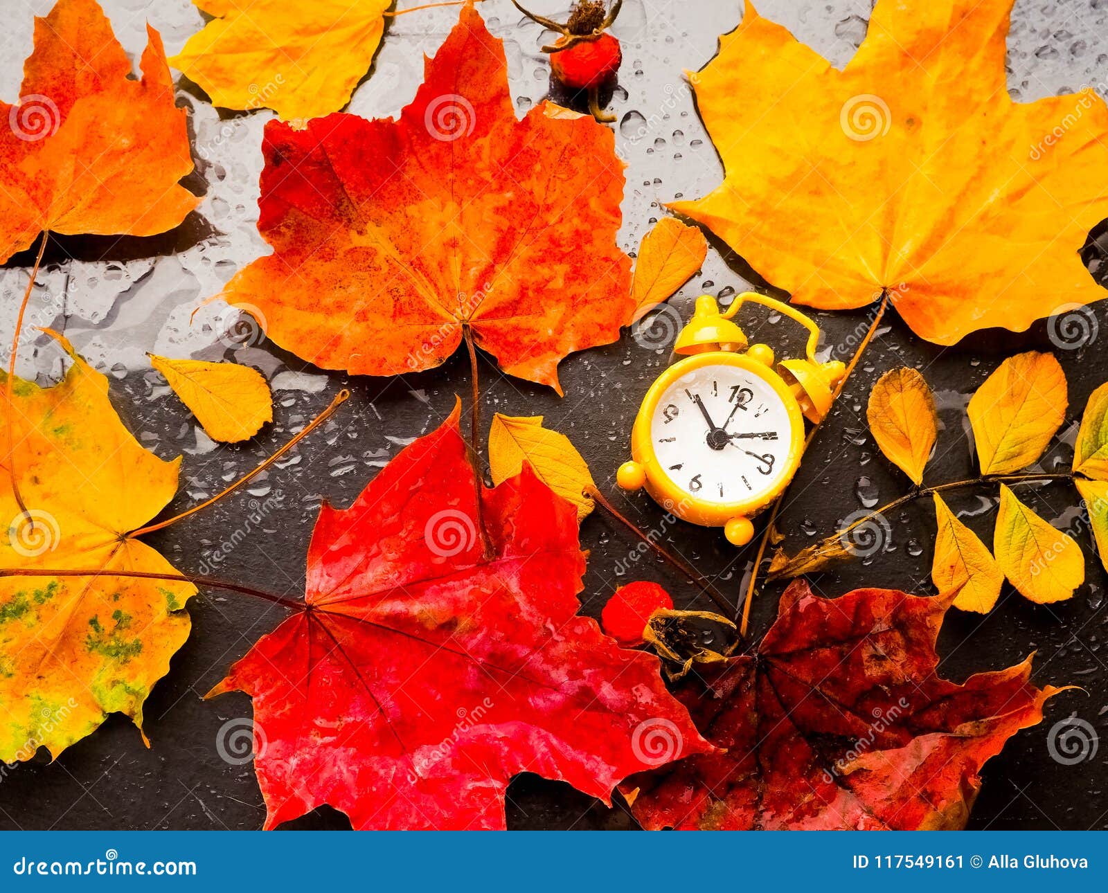 Clock with Leaves Time Change, Alarm Clock in Colorful Autumn Leaves ... Clock with Leaves Time Change, Alarm Clock in Colorful Autumn Leaves ...