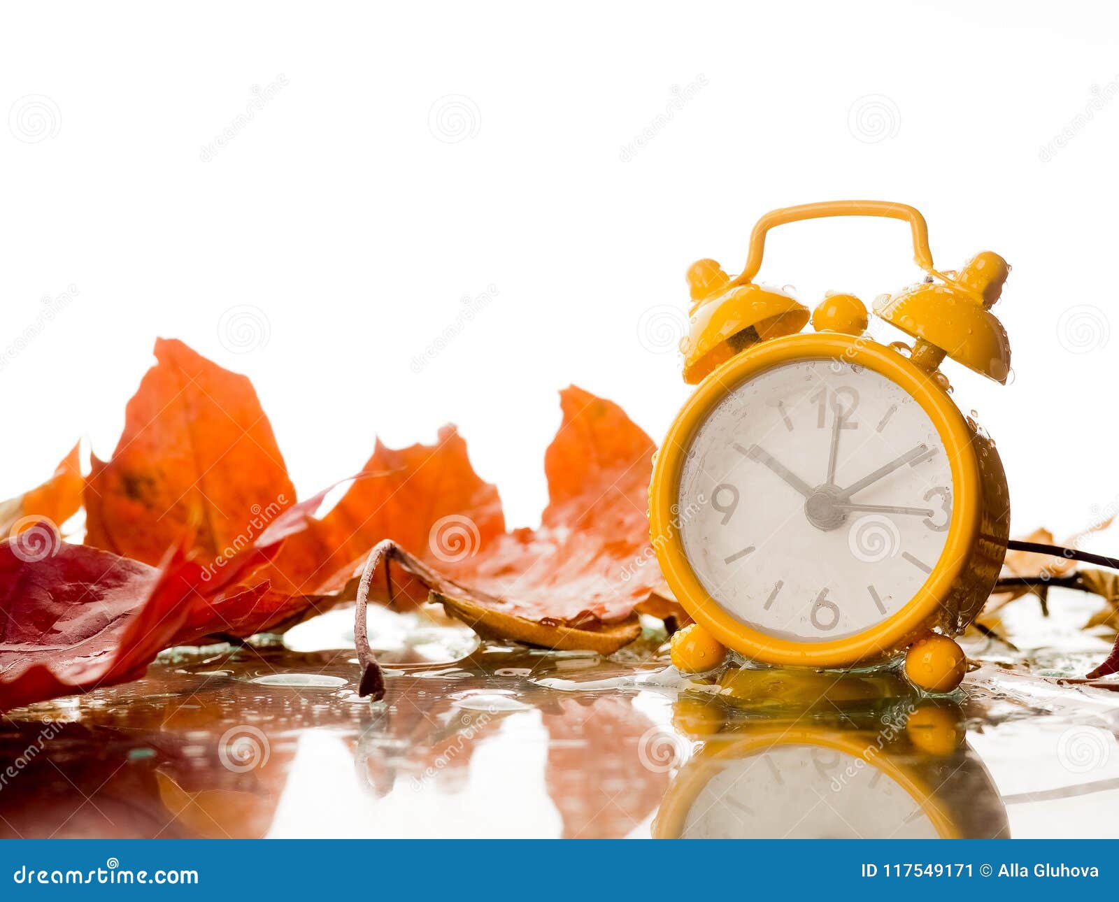 Clock with Leaves Time Change, Alarm Clock in Colorful Autumn Leaves ... Clock with Leaves Time Change, Alarm Clock in Colorful Autumn Leaves ...