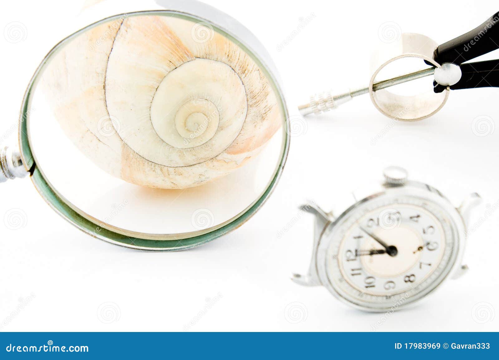 Clock with Magnifier and Compass or Time and Space Stock Image - Image ...