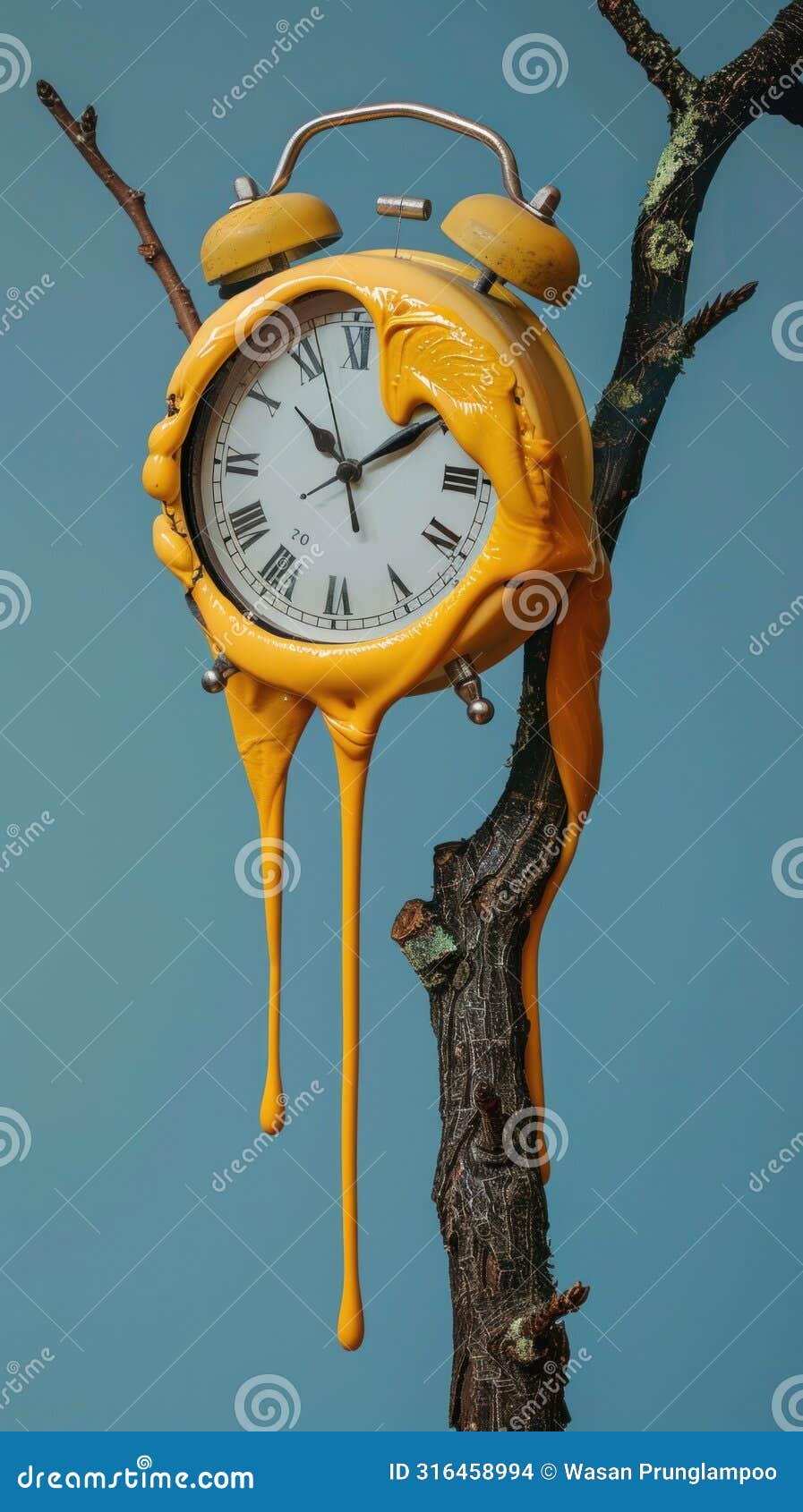 A Clock Melting on a Tree Branch Stock Photo - Image of quirky, visual ...