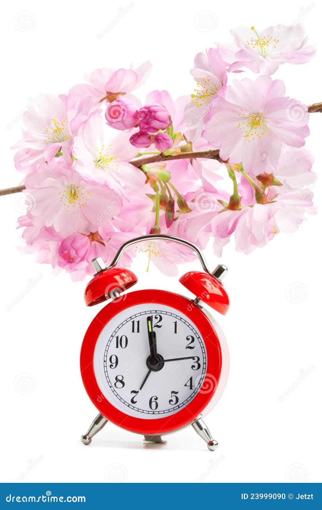 Clock and Sakura Flowers, on White Stock Photo - Image of alarm, spring ...