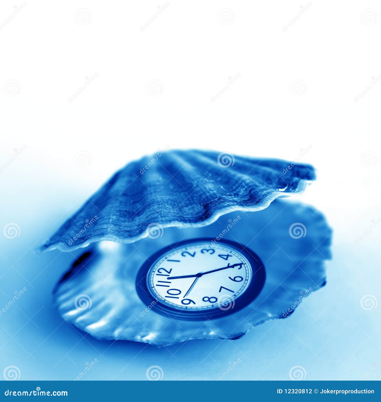 Clock in a shell stock photo. Image of blue, idea, marine - 12320812