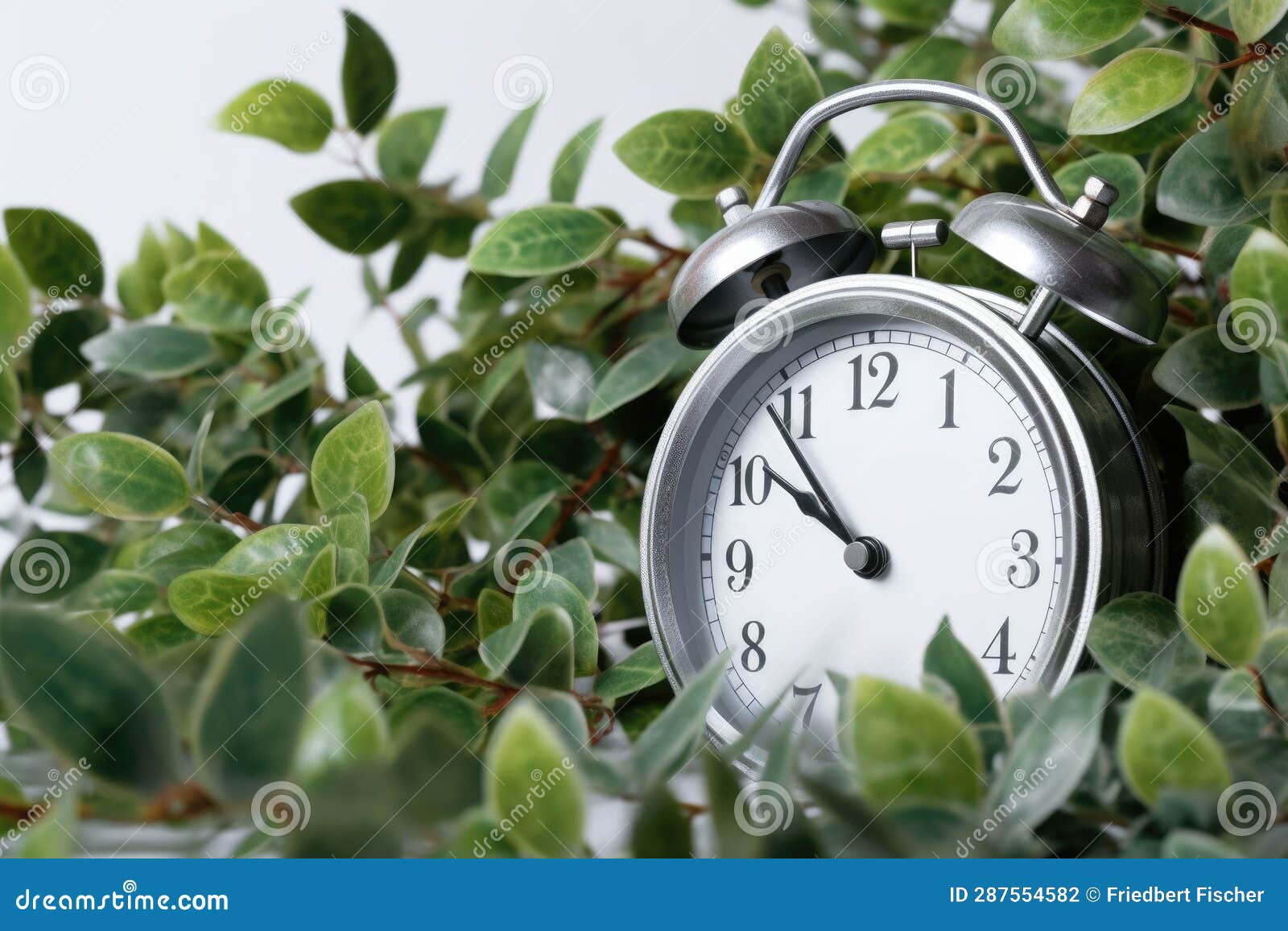A Clock Sitting on Top of a Lush Green Plant. Stock Illustration ...