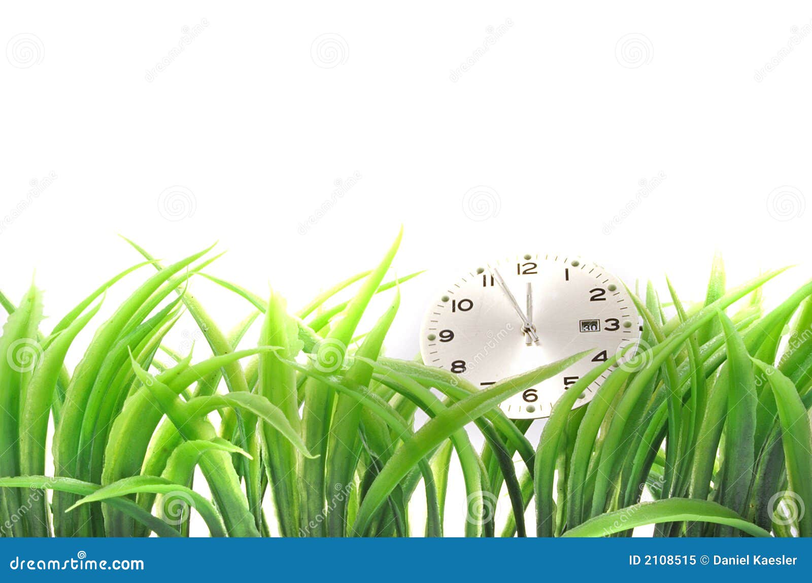 Clock and tall grass stock image. Image of white, tall - 2108515
