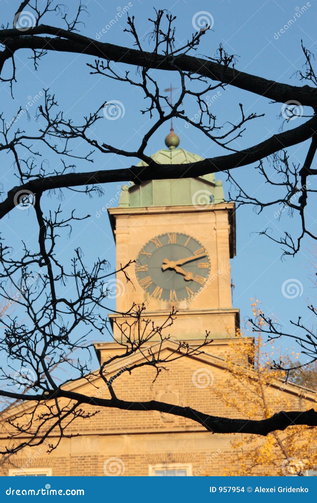 Clock tower and branches stock photo. Image of university - 957954