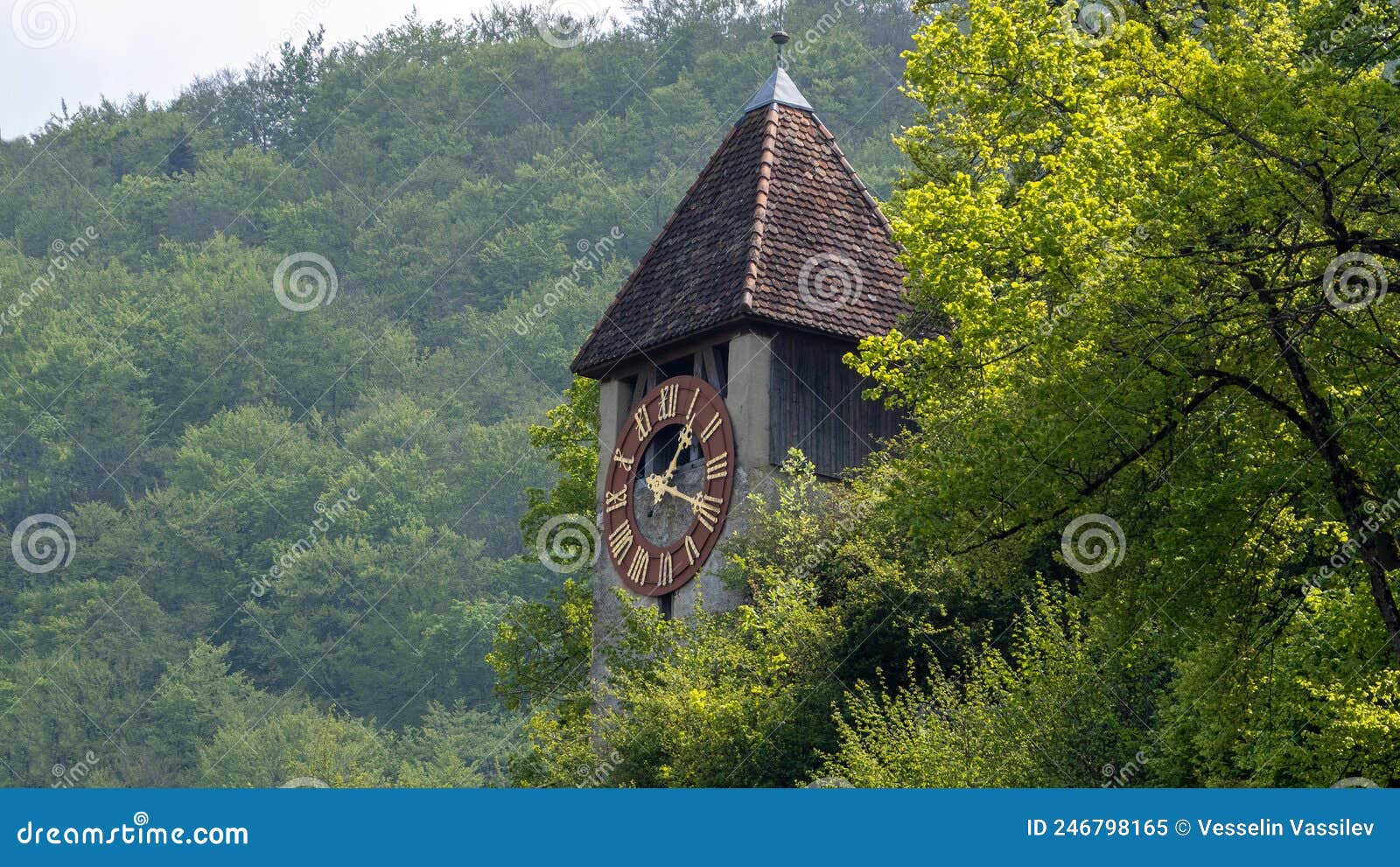 A Clock Tower in the Forest Stock Image - Image of forest, green: 246798165