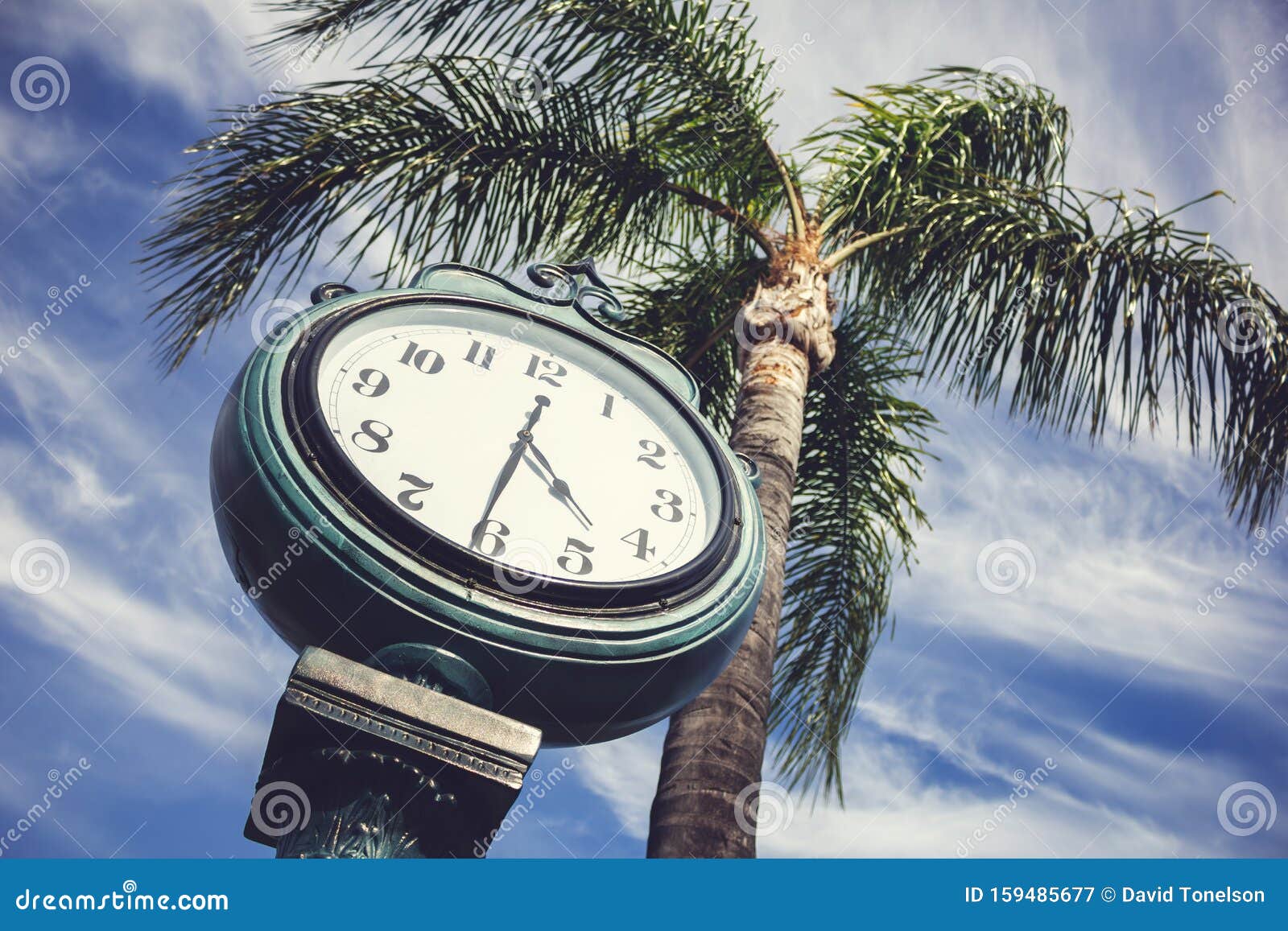 Clock tower and palm tree stock image. Image of filter - 159485677