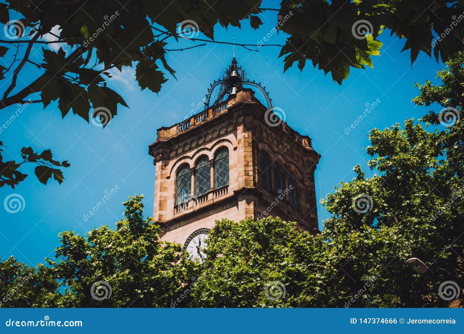 Clock Tower of the University of Barcelona through the Foliage Stock ...