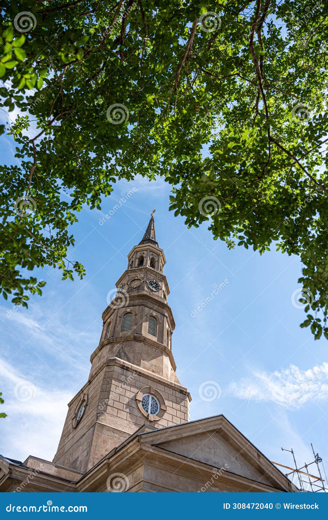 Clock Tower Viewed through Tree Branches Stock Photo - Image of ...