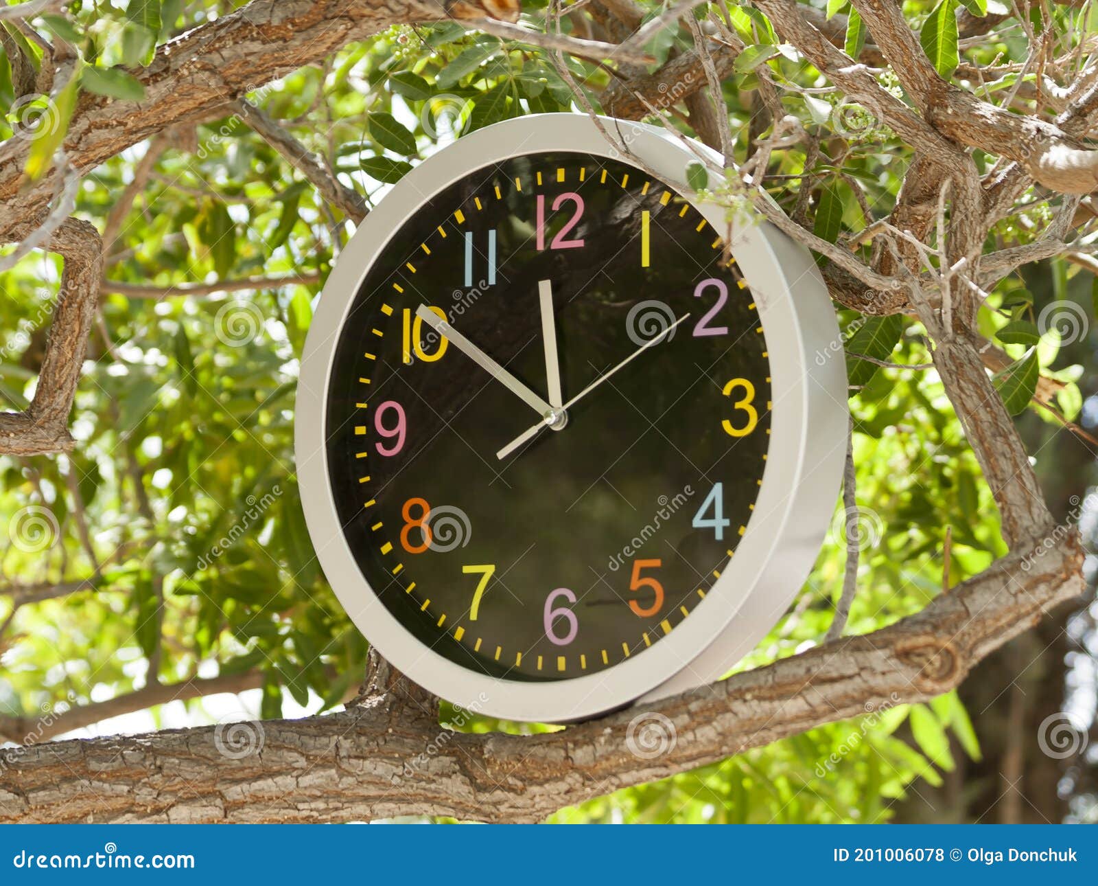 Clock on tree branch stock photo. Image of space, lifestyle - 201006078