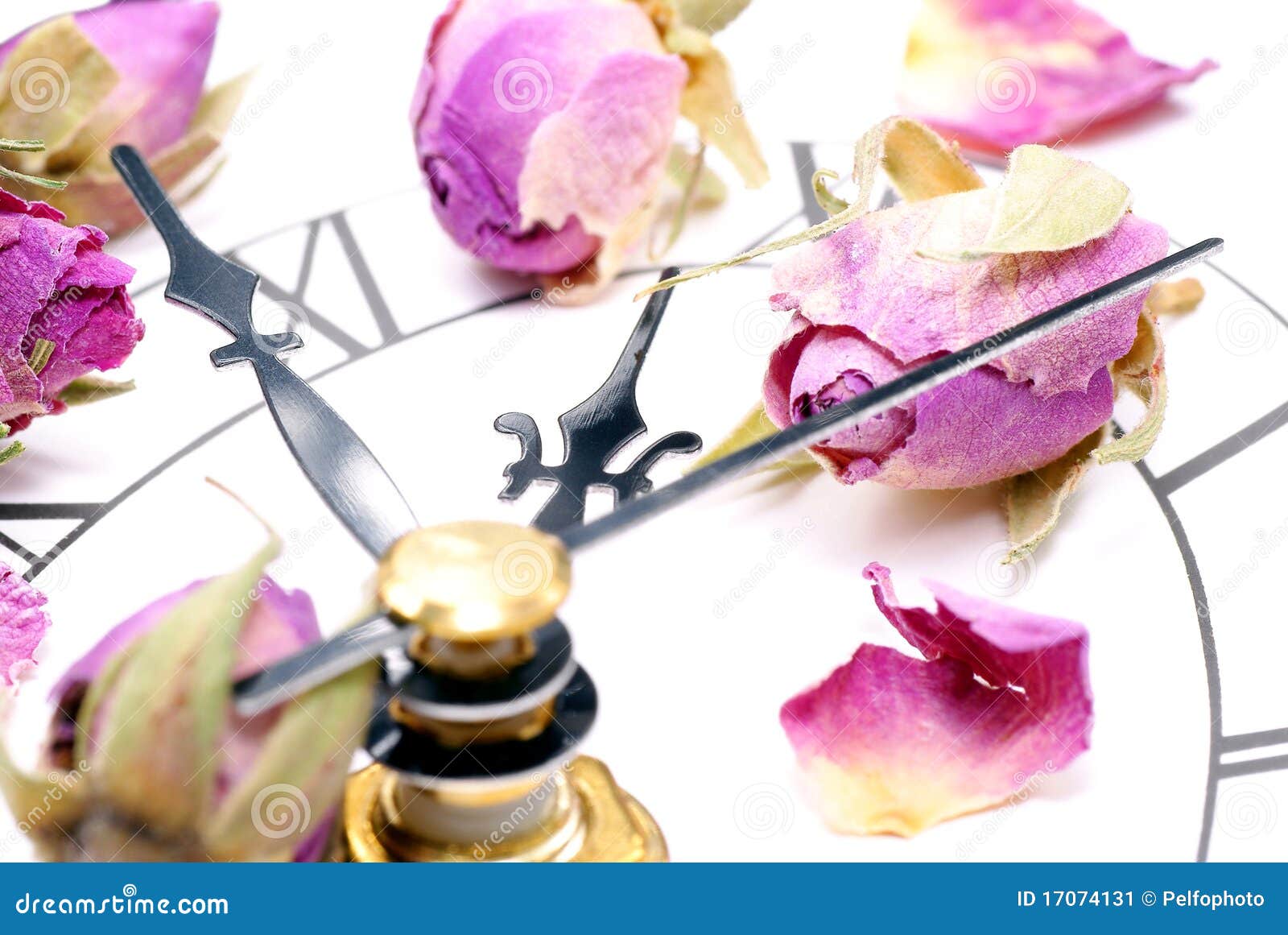 Clocks and roses. stock image. Image of agelong, classically - 17074131