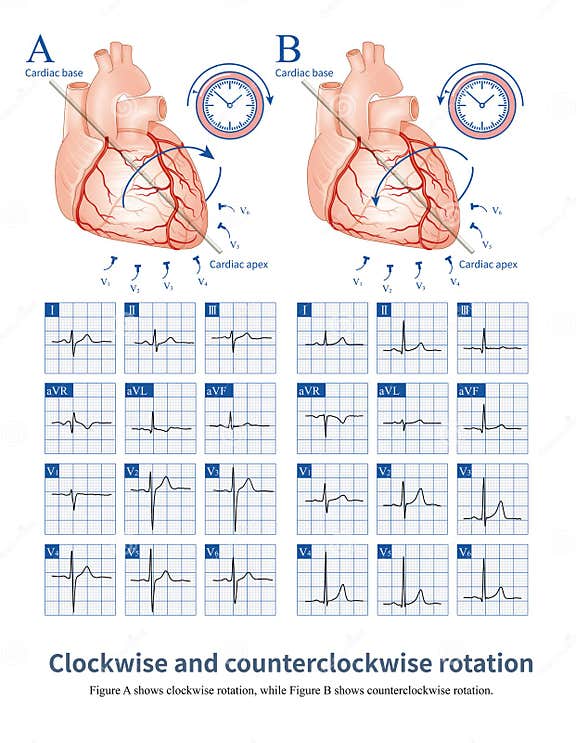 Clockwise and Counterclockwise Rotation Stock Image - Image of ...