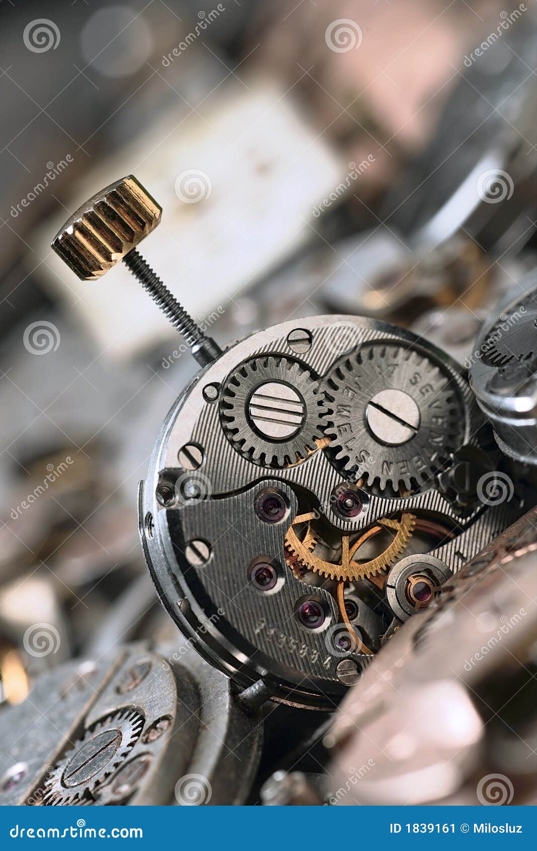 Clockworks stock image. Image of watch, instrument, clockwork - 1839161