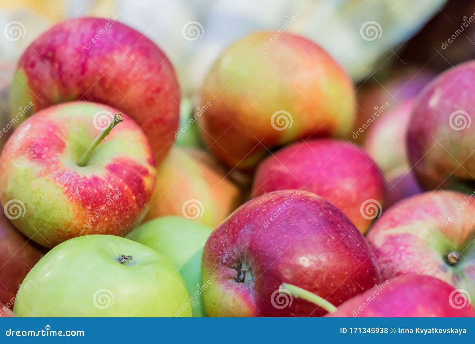 Clode Up Pf Red Ripe Apples Harvest Stock Photo - Image of thanksgiving ...