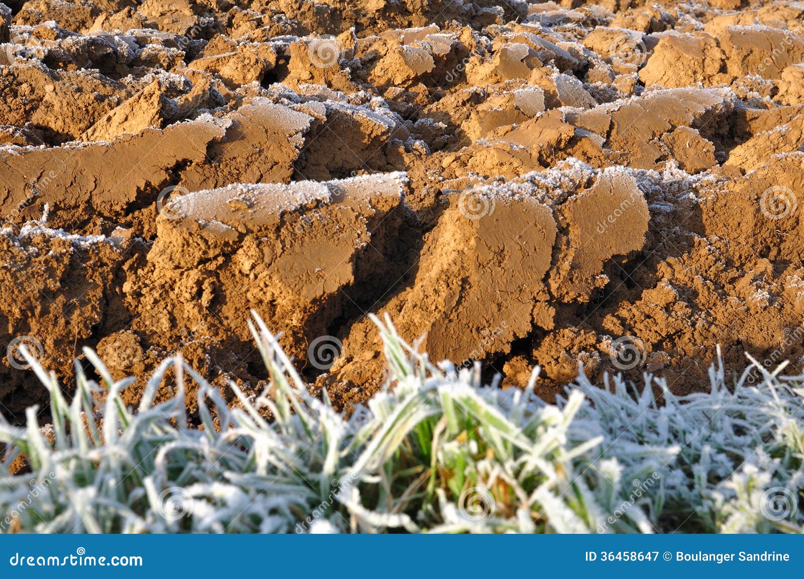 Clods covered by frost stock image. Image of earth, frozen - 36458647