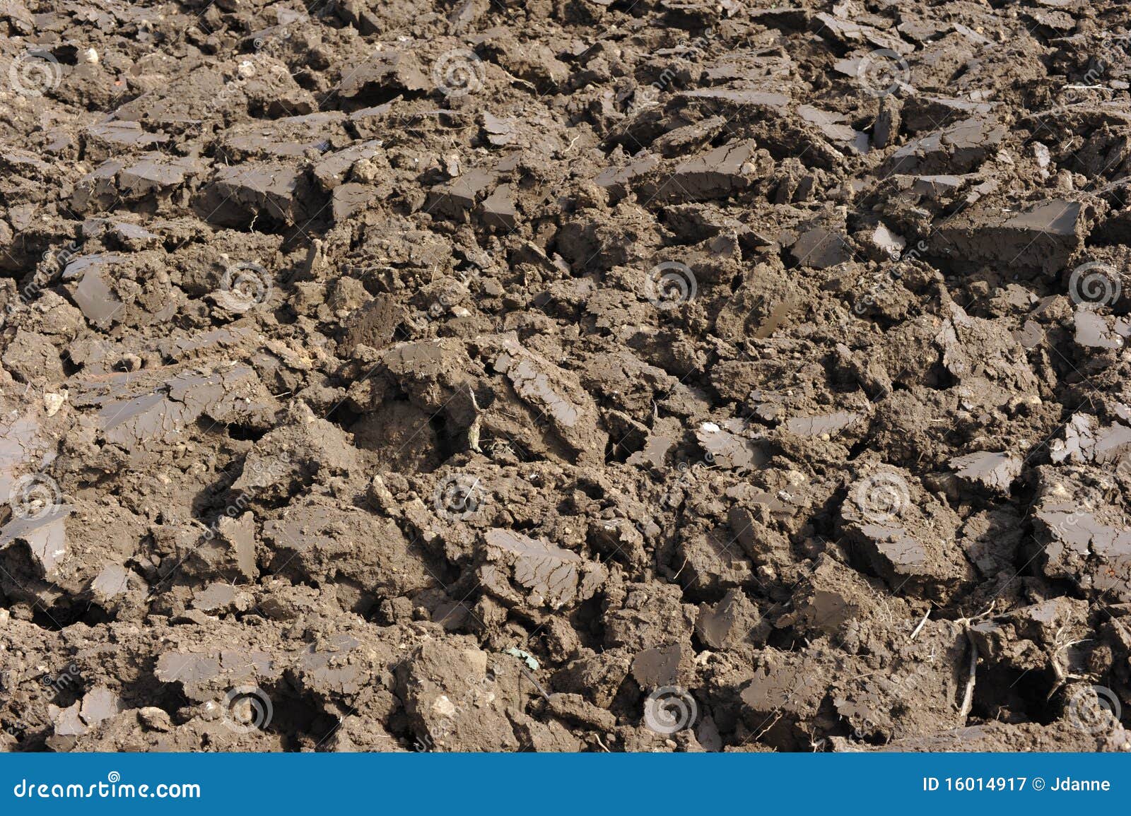 Clods of earth stock image. Image of dirt, environment - 16014917