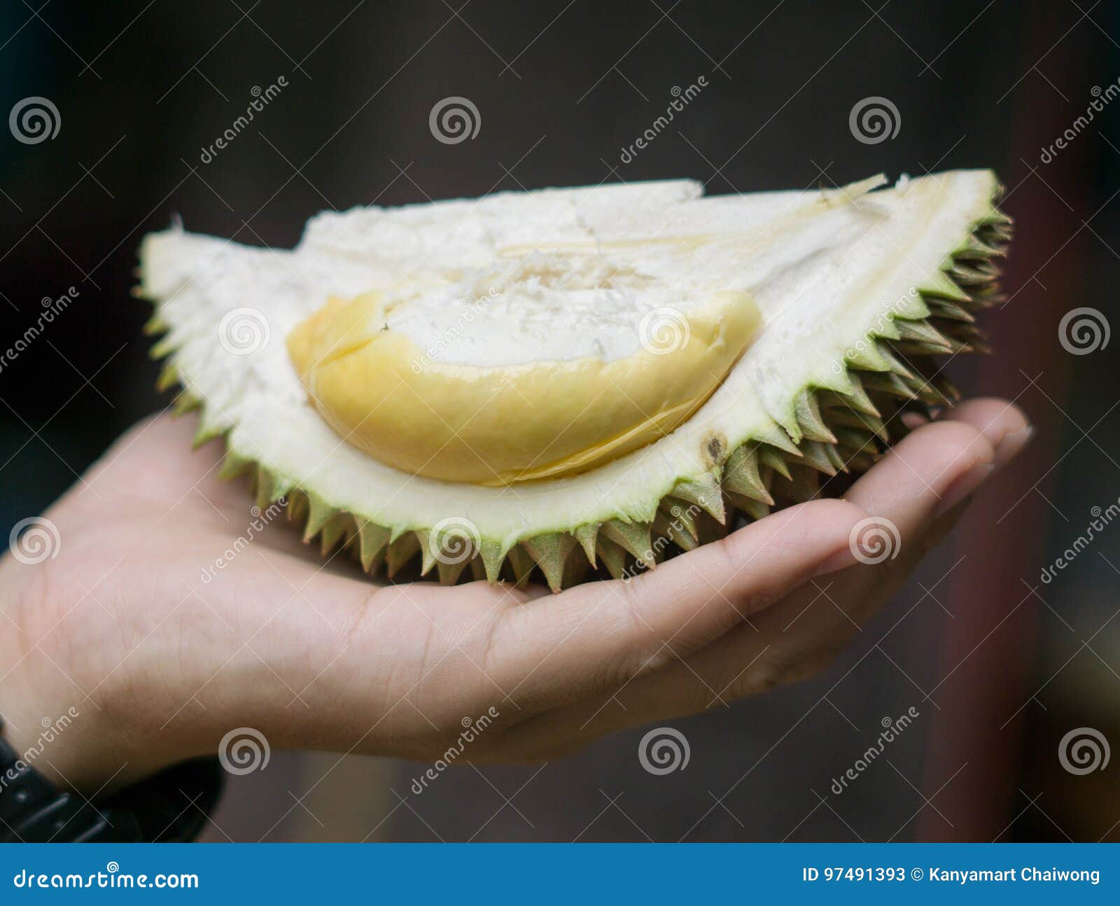 Durian Kanyao Royalty-Free Stock Photography | CartoonDealer.com #54922019