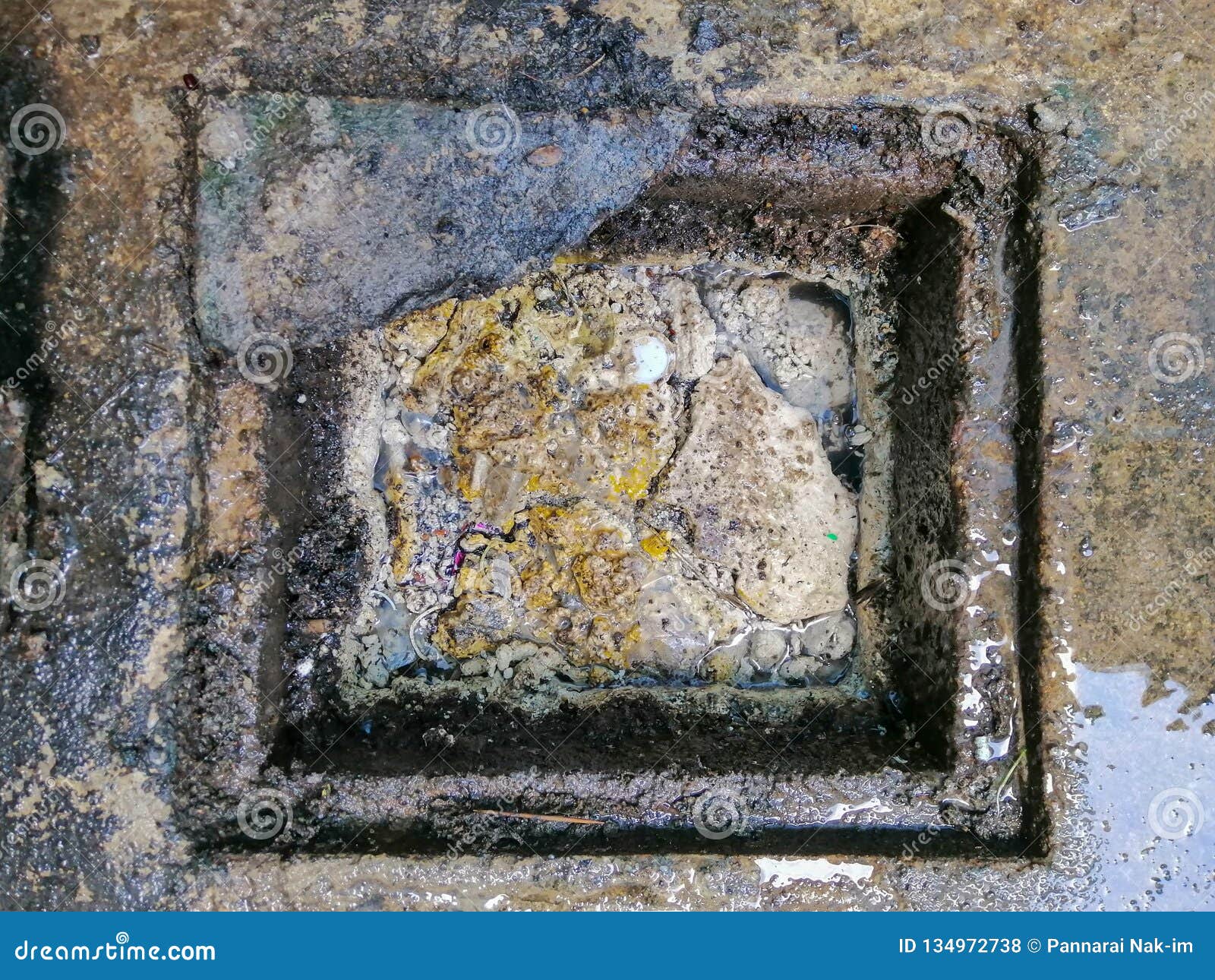 Clogged fat in the drain. stock photo. Image of house - 134972738