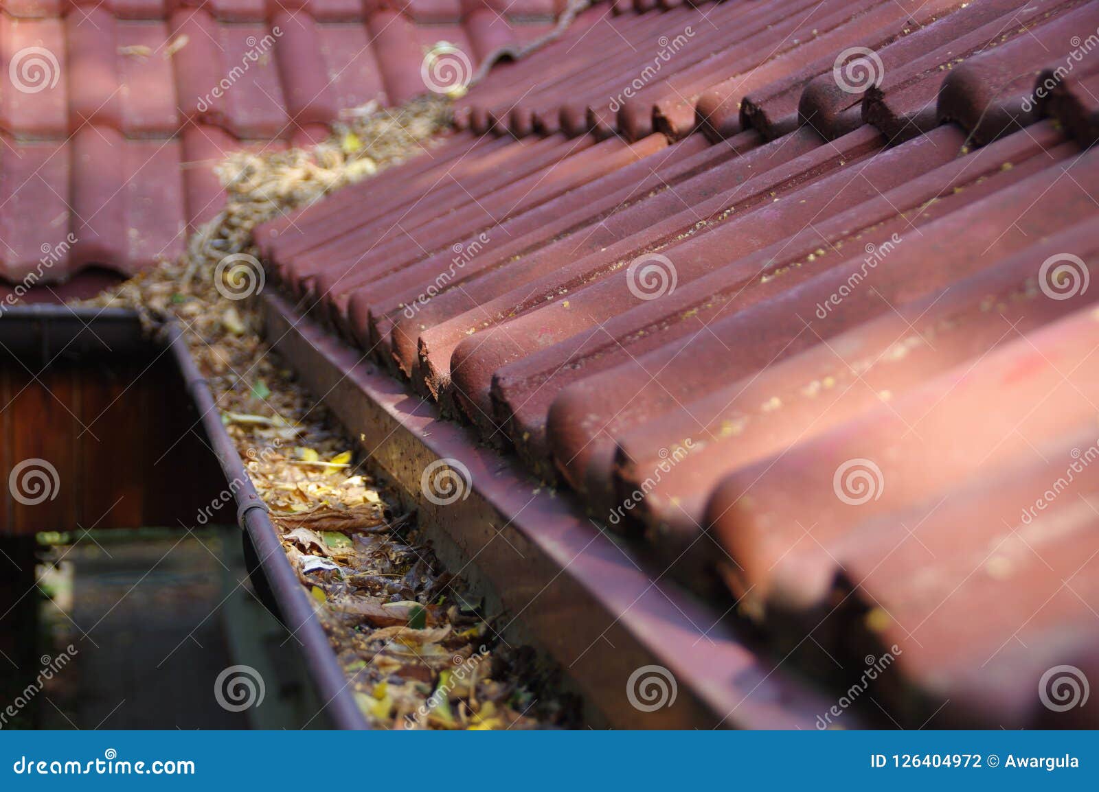 Clogged gutter stock photo. Image of drain, problem - 126404972