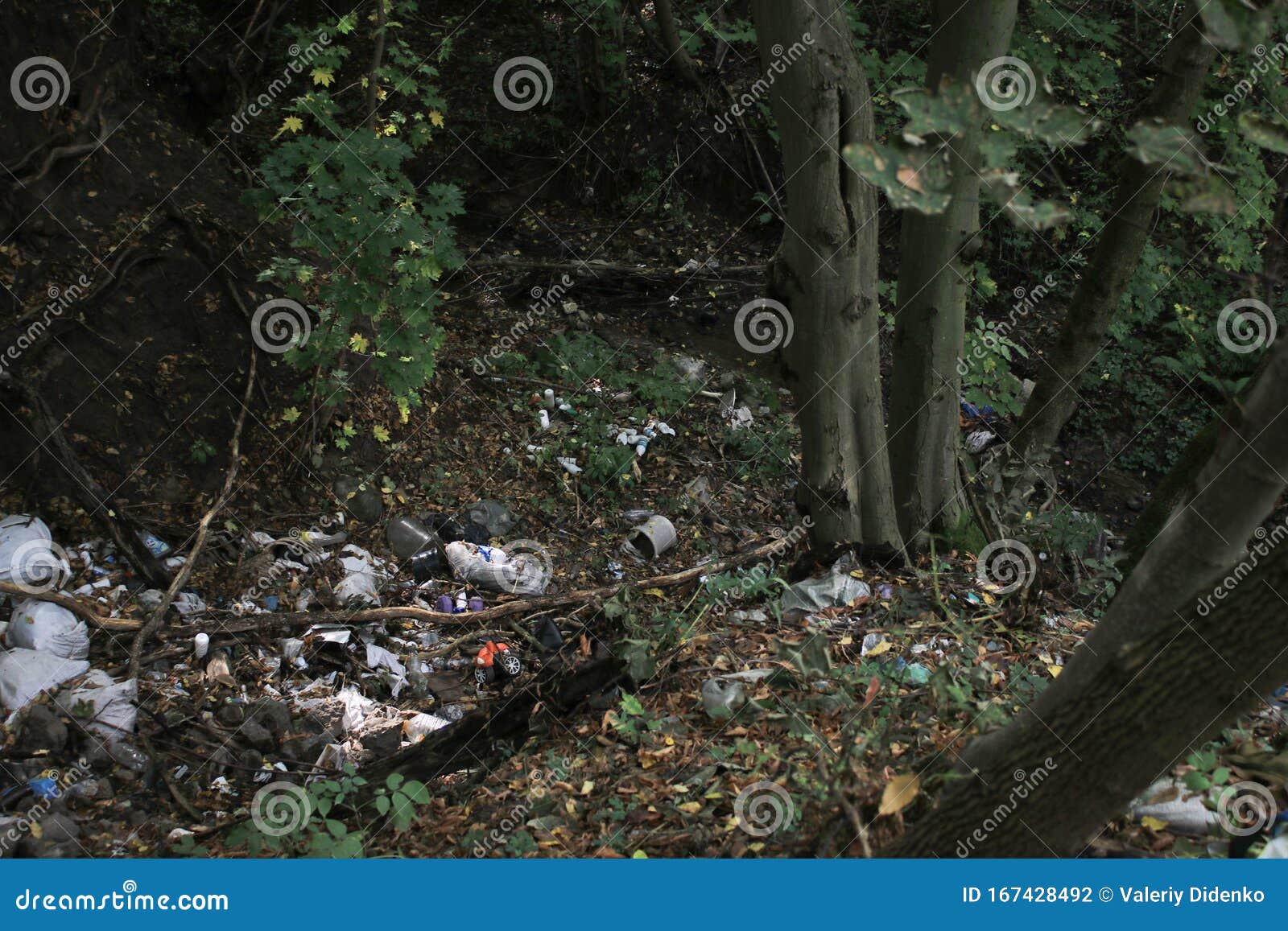 A Clogged River in the Forest Stock Photo - Image of natural, concept ...