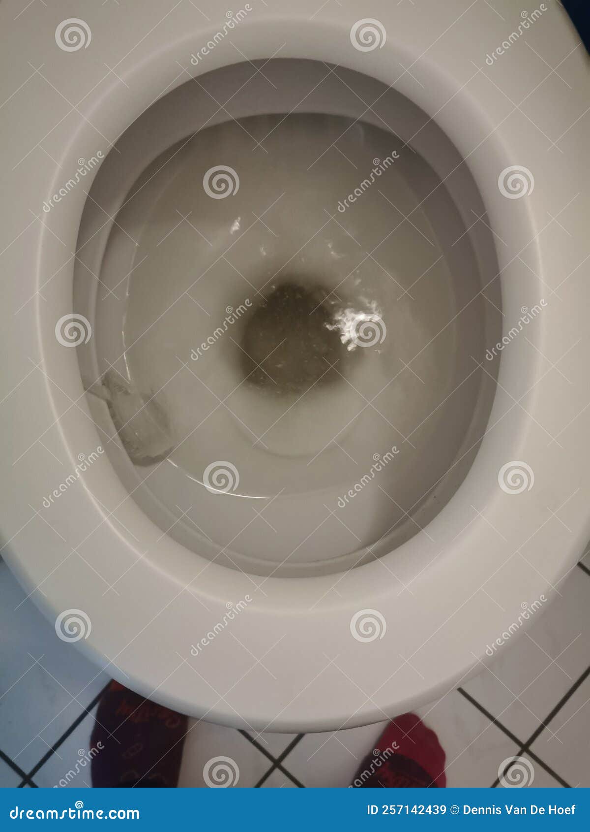 Clogged Sewage Drain Pipe, Causing a Damage Stock Image - Image of ...