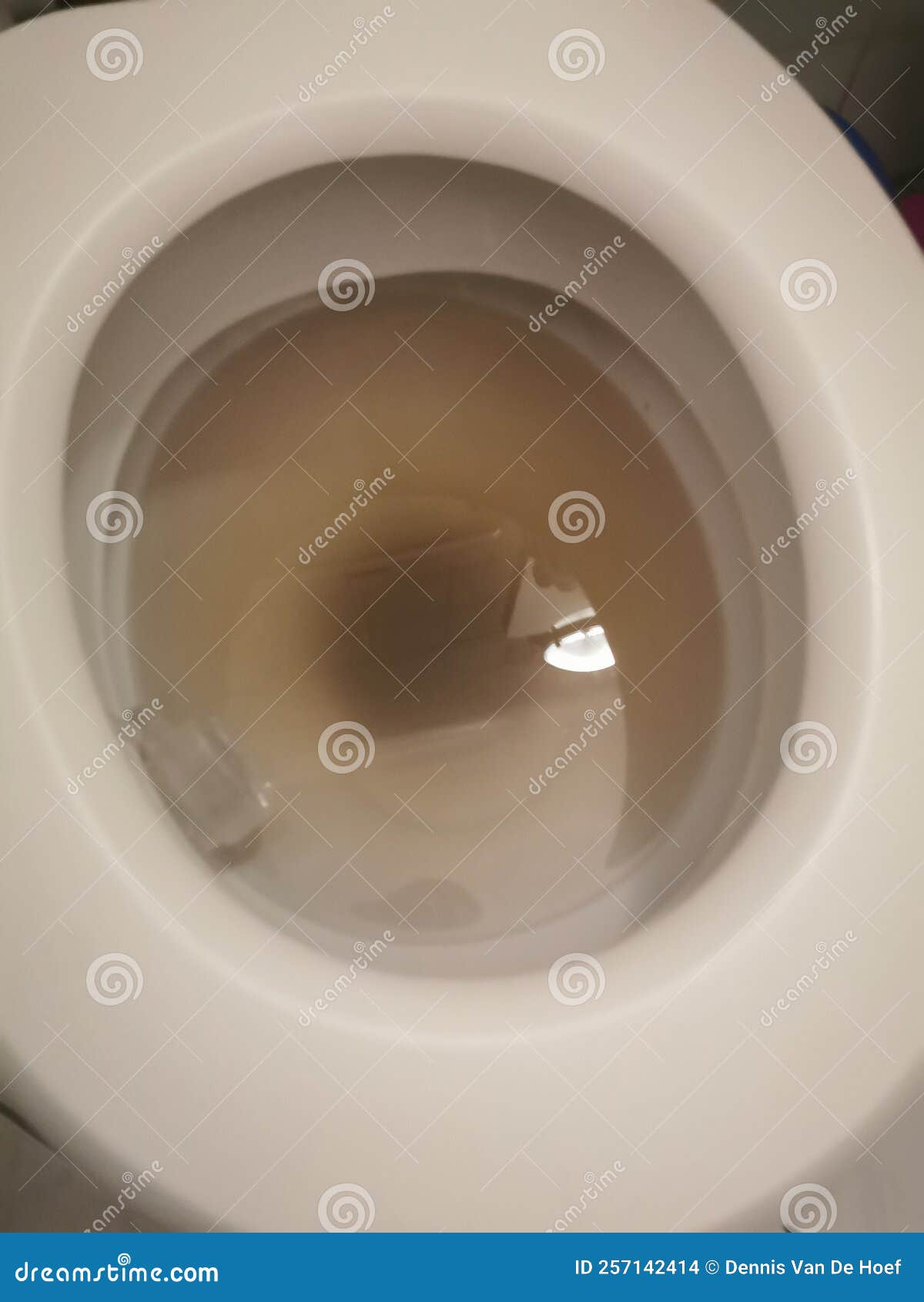 Clogged Sewage Drain Pipe, Causing a Damage Stock Photo - Image of ...