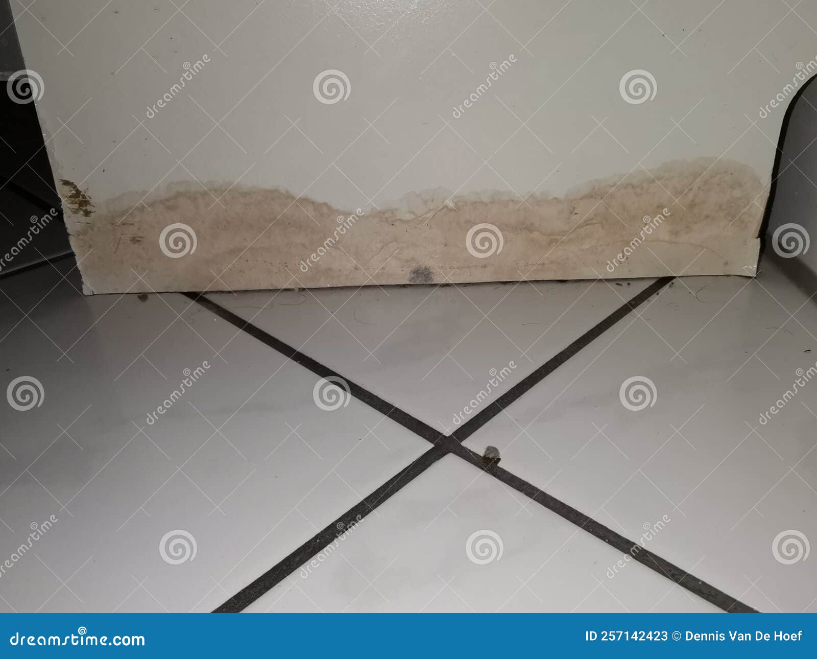 Clogged Sewage Drain Pipe, Causing a Damage Stock Image - Image of ...