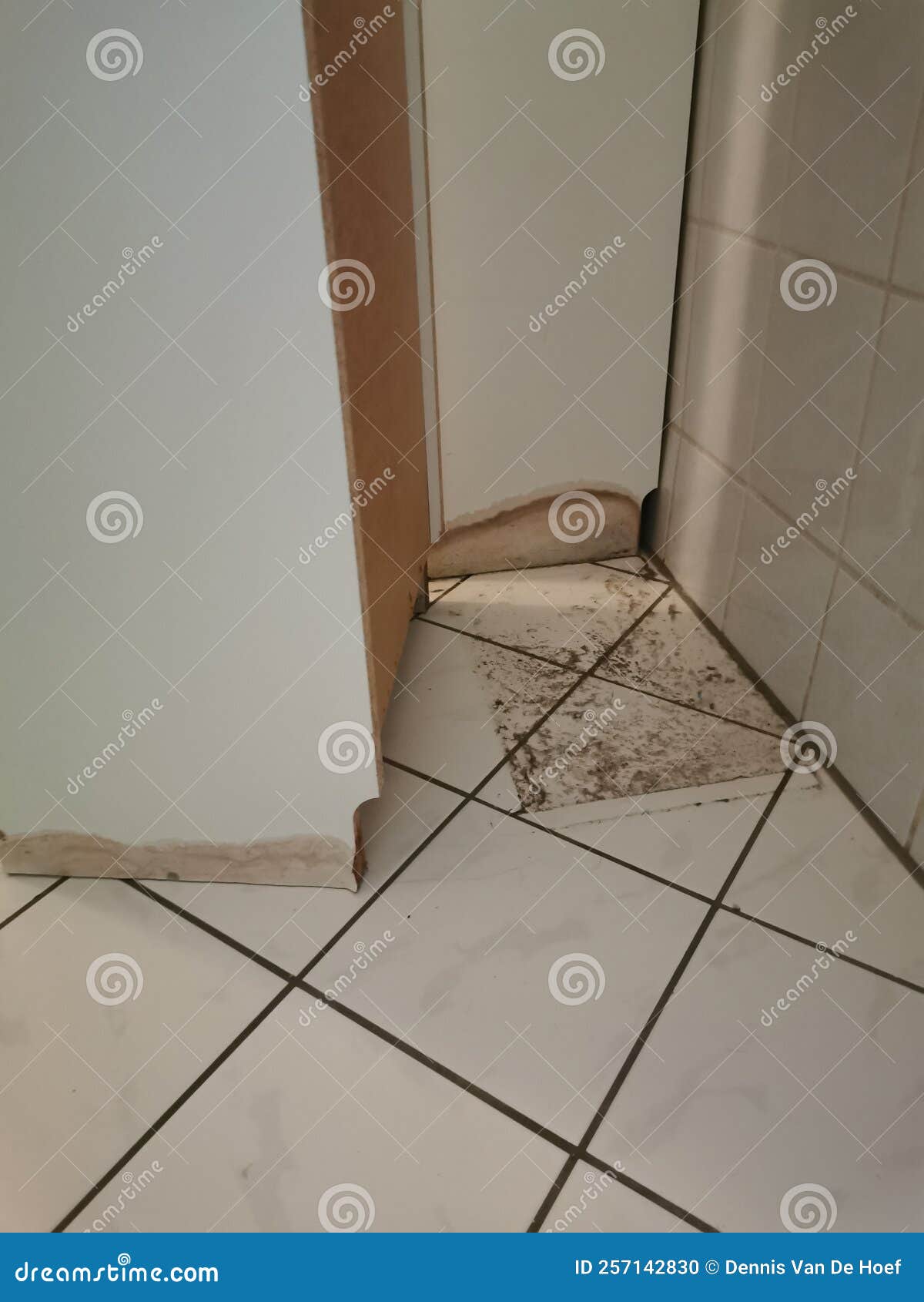 Clogged Sewage Drain Pipe, Causing a Damage Stock Photo - Image of damp ...