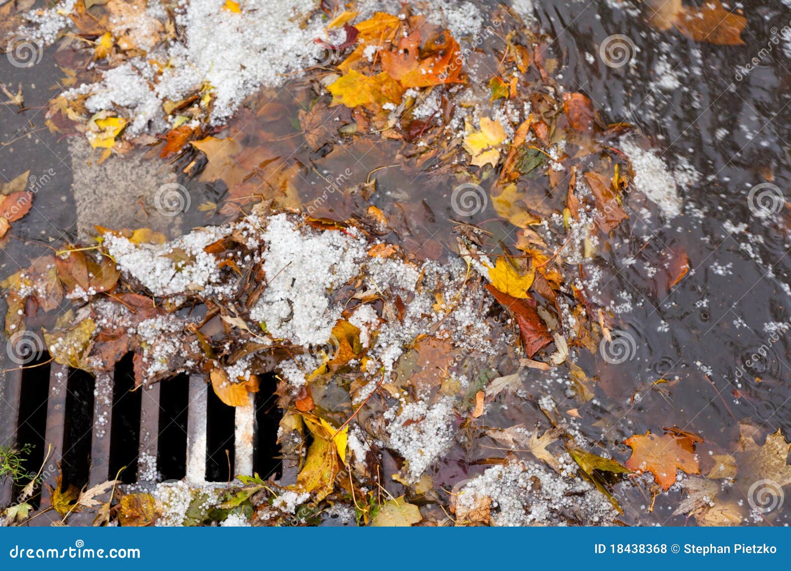 Clogged Sewer Blocks Rainwater Runoff Stock Photo - Image of gush ...
