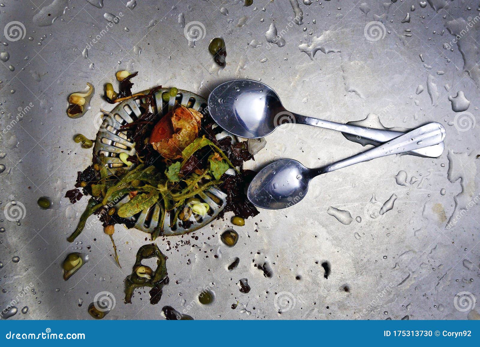 Clogged Strainer in the Sink and Spoon in the Sink Stock Photo - Image ...