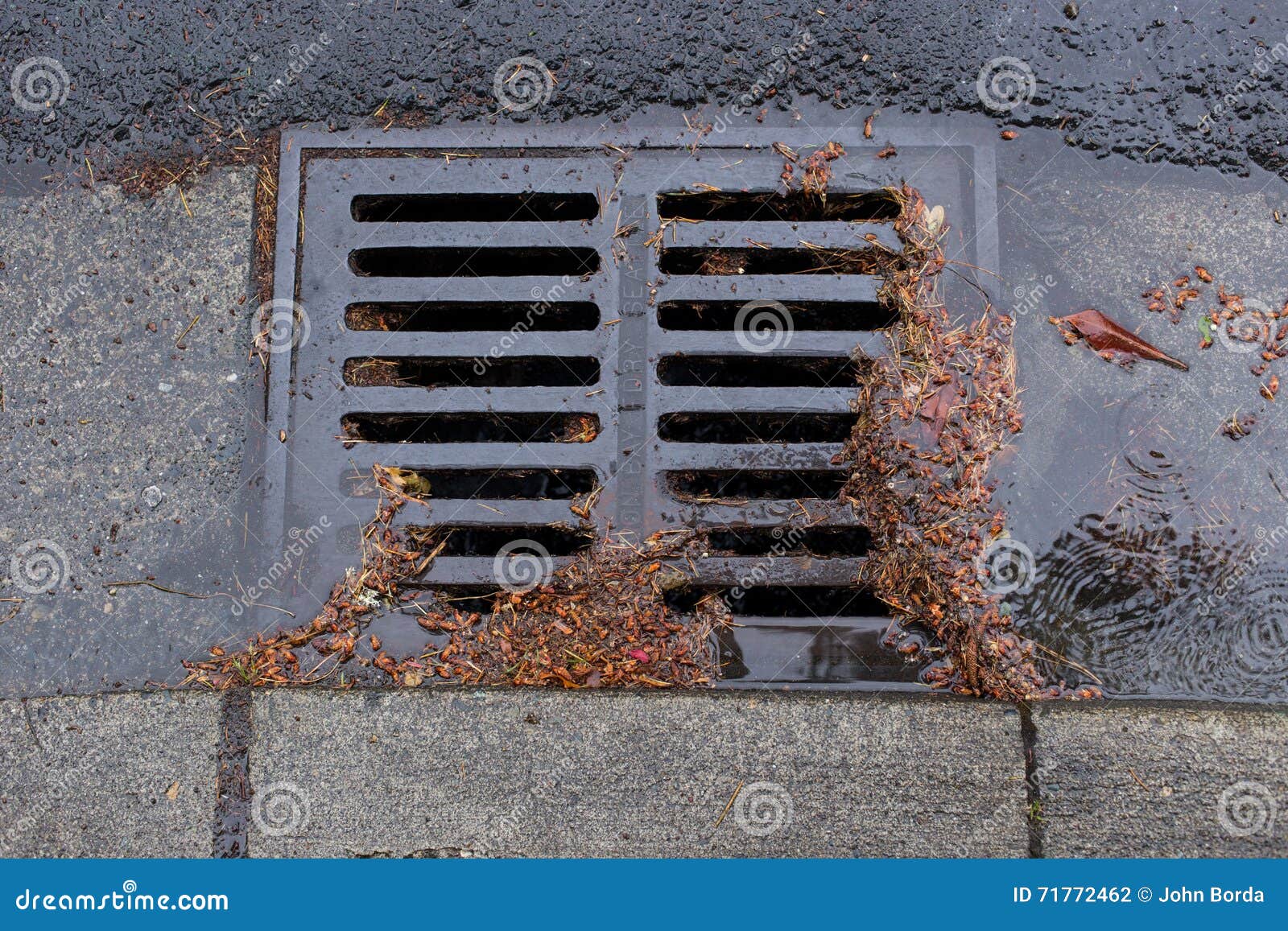 Clogged a Street Drain during a Rain Storm Stock Photo - Image of drain ...