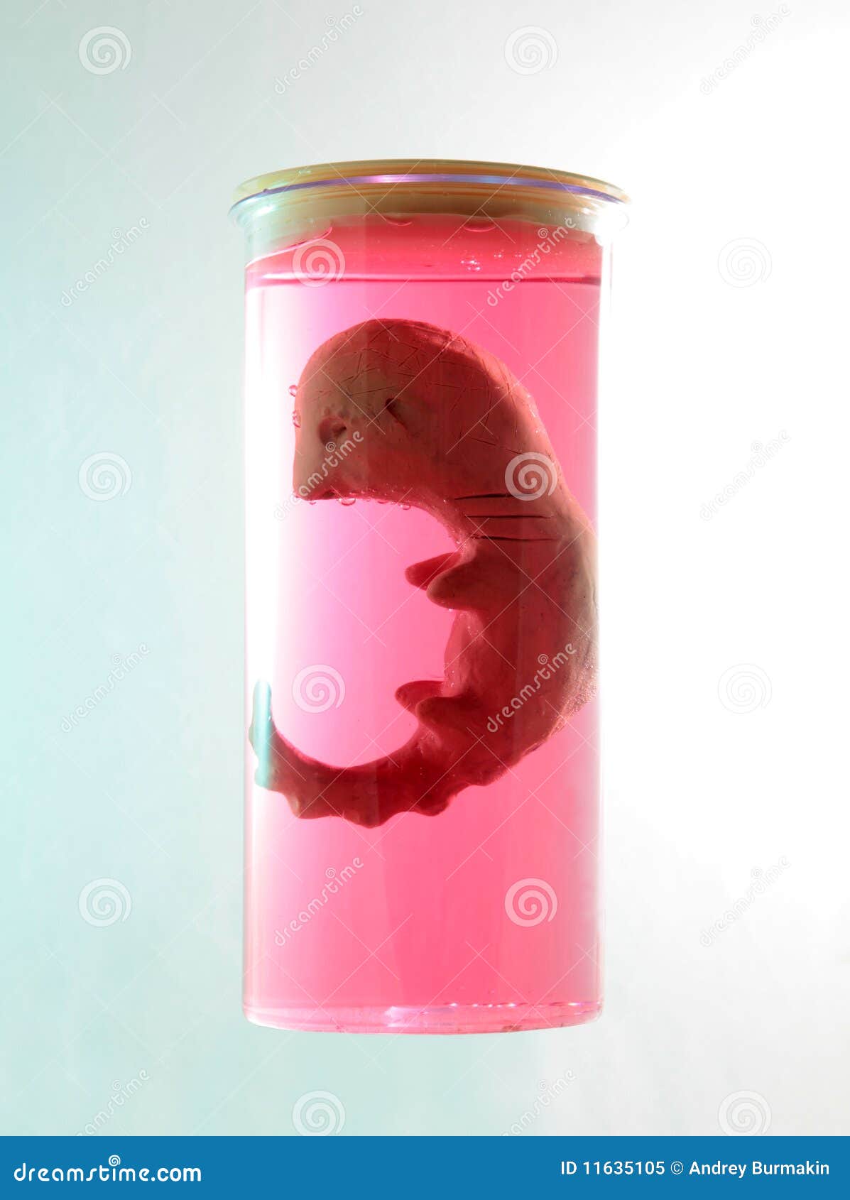 Cloned embryos stock image. Image of files, bioengineering - 11635105