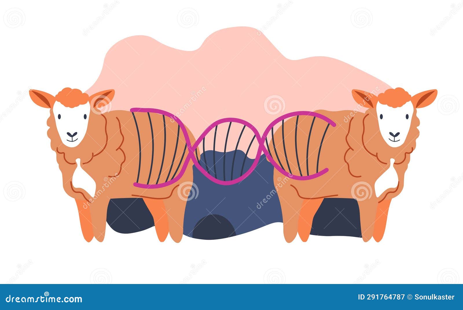 Cloning of Animals, Genetically Modified Sheep Stock Vector ... Cloning of Animals, Genetically Modified Sheep Stock Vector ...