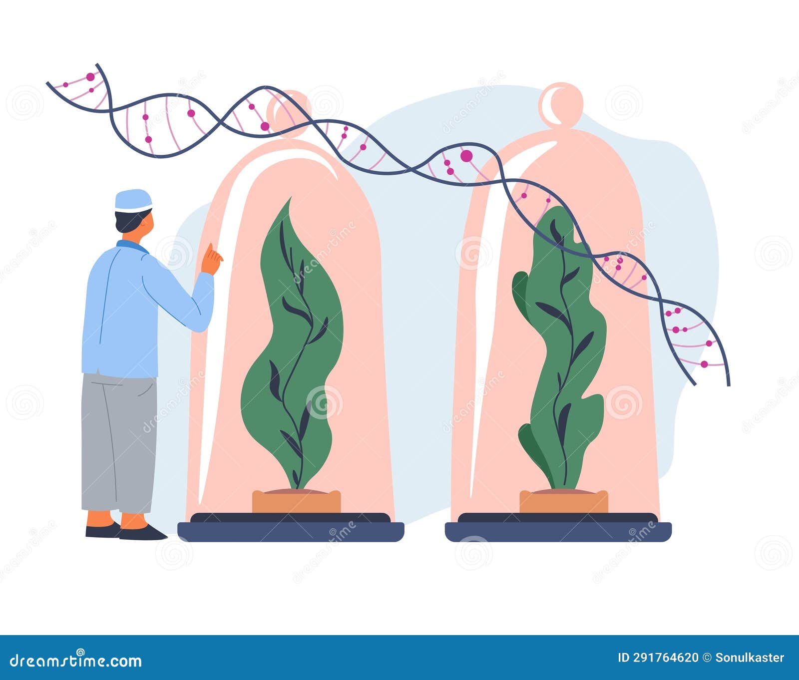 Cloning Process Explanation With Adult Sheep Creation Stages Outline ...
