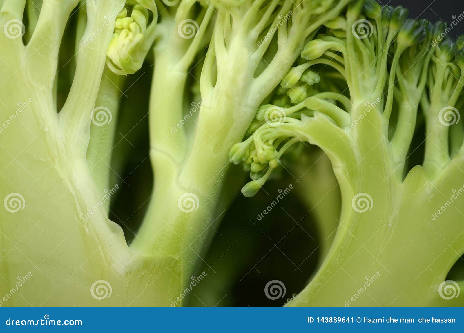 Cross Section of Broccoli Vegetable in Close Up Stock Image - Image of ...