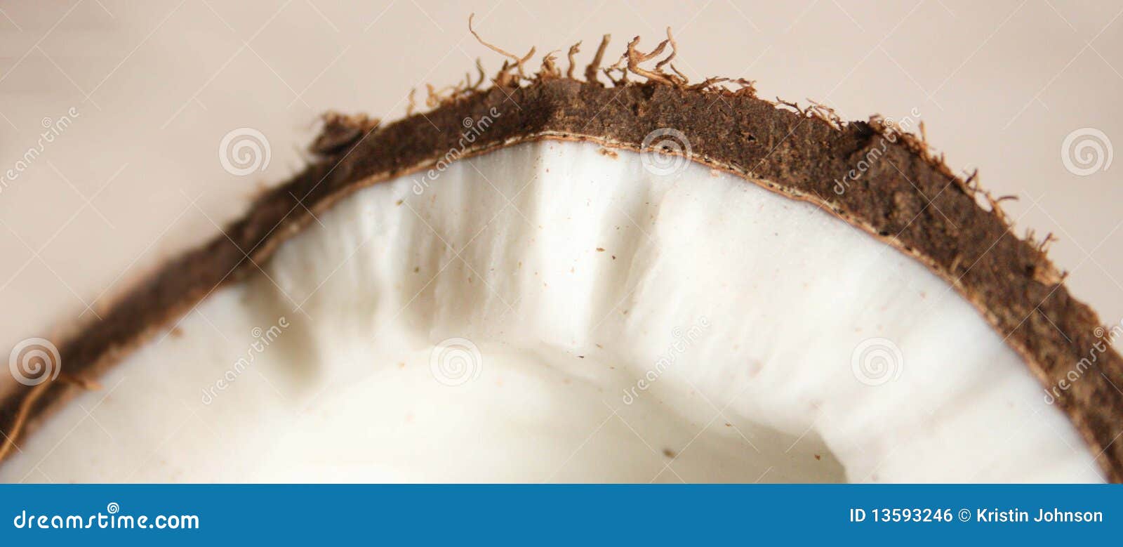 Close Up Of Coconut Fruits On The Corong Corong Beach In El Nido ...