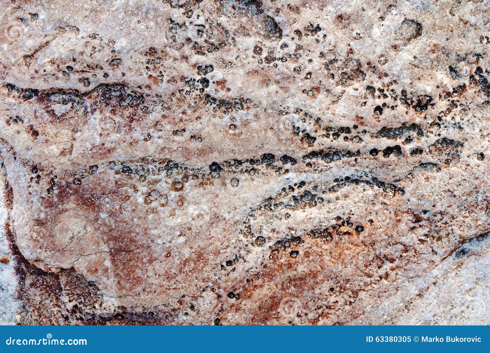 Close Colorful Texture of Sea Stone Texture Stock Image - Image of ...