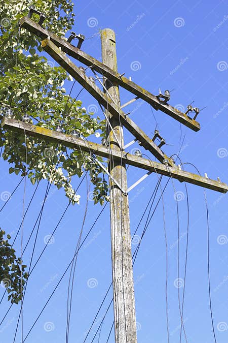 Close on Downed Power Lines Stock Photo - Image of wired, outage: 24988626