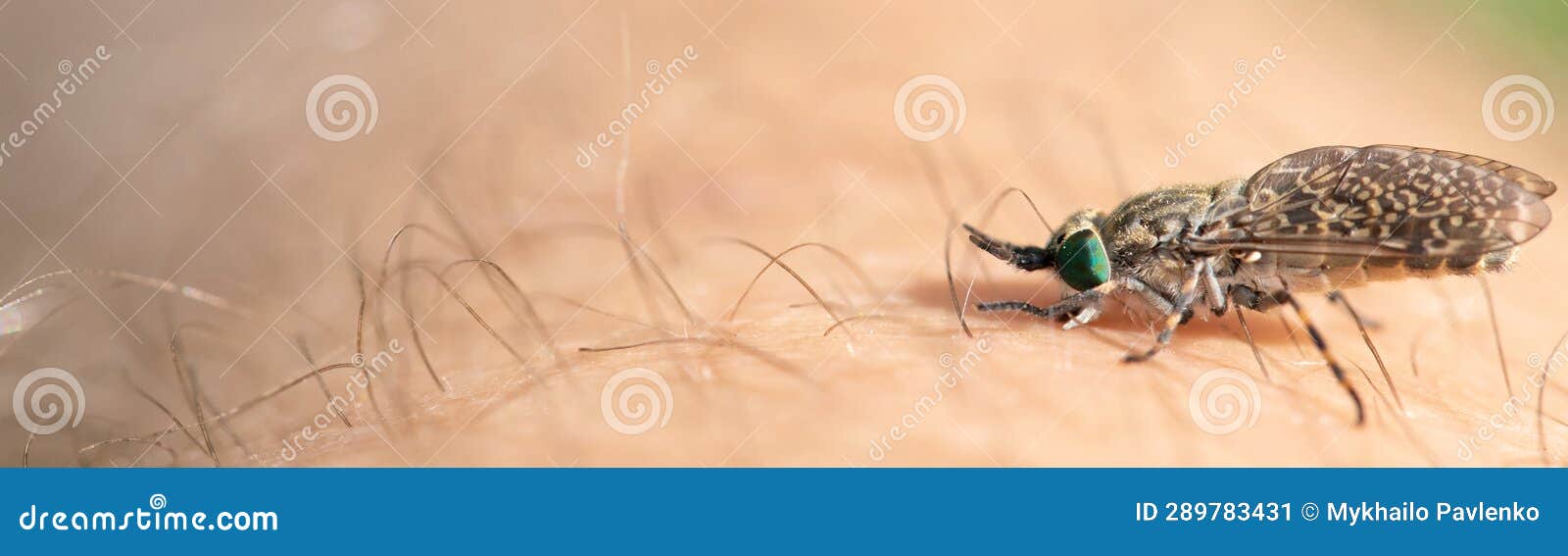 Close Encounter: Capturing an Insect S Bite on Human Skin Stock Image ...