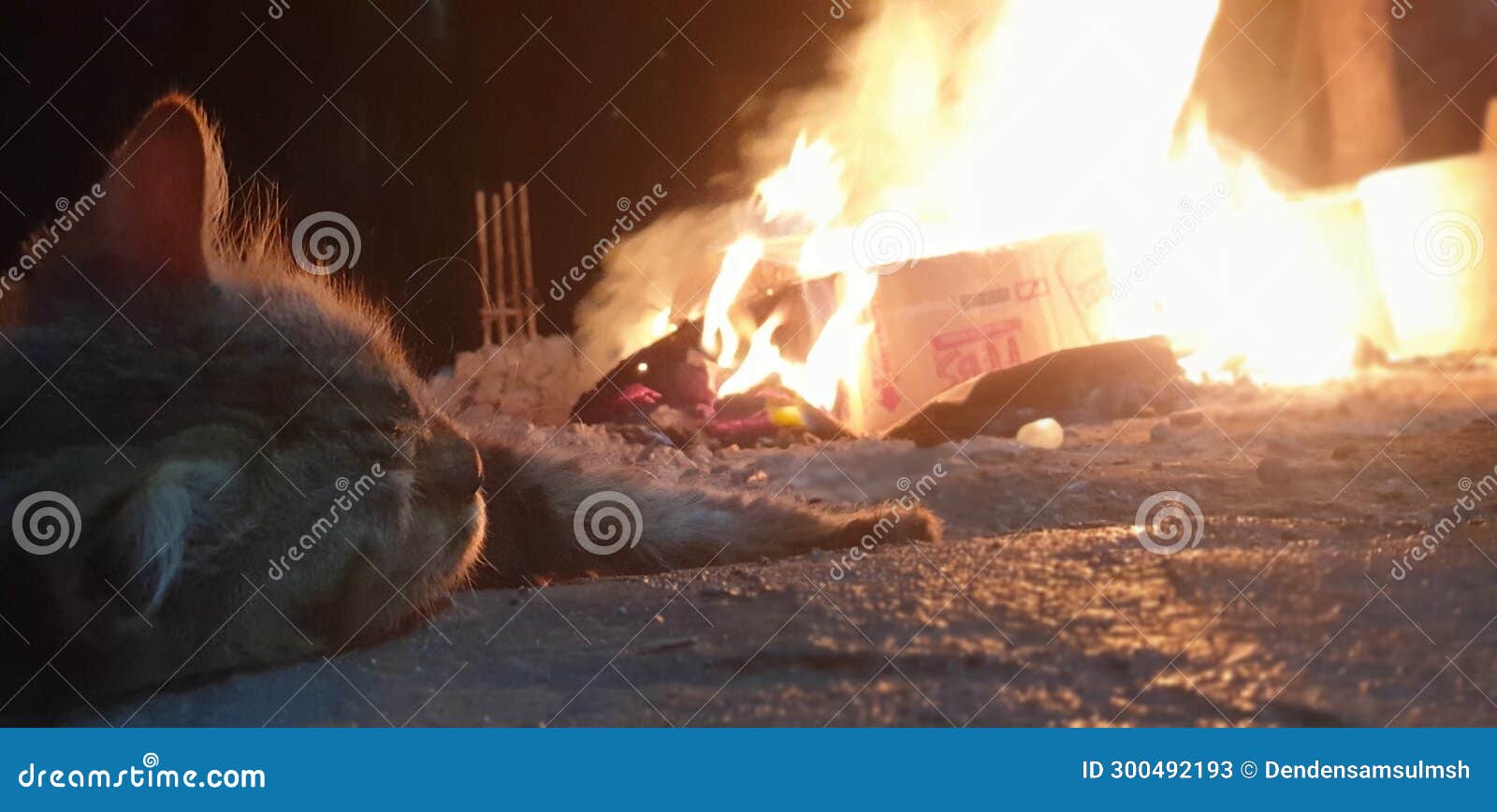 Sleep at the night stock image. Image of night, dark - 300492193