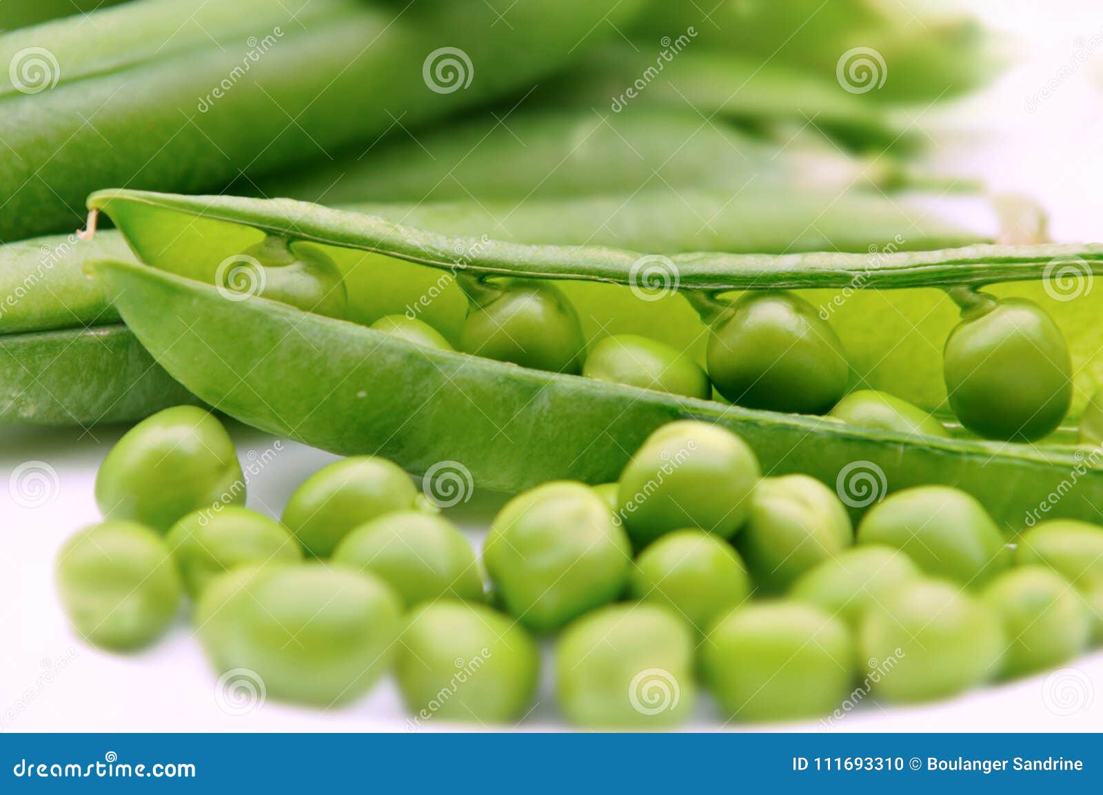 Fresh peas in pod stock photo. Image of vegetable, crop - 111693310