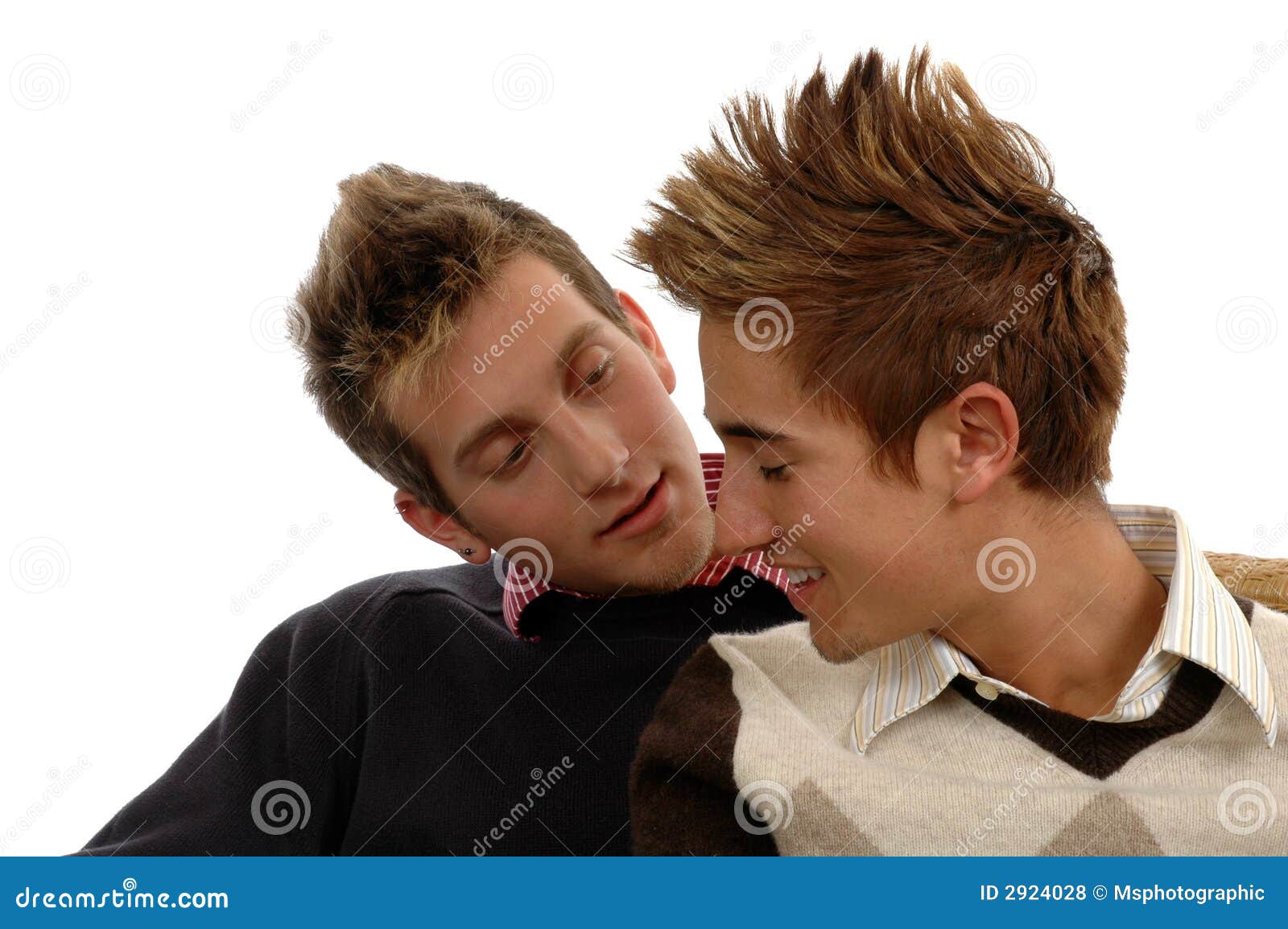 Close Friends stock photo. Image of cute, adults, contented - 2924028