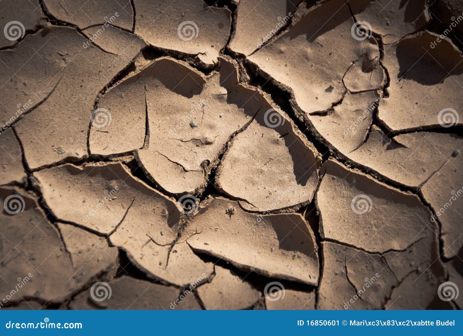 Close image of cracked mud stock image. Image of design - 16850601