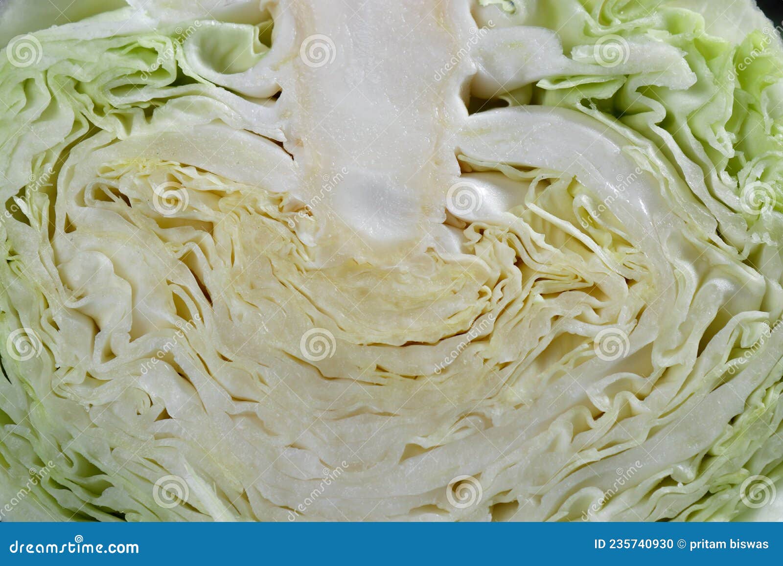 Close Look Inside of a Chopped Piece of a Cabbage Stock Photo - Image ...