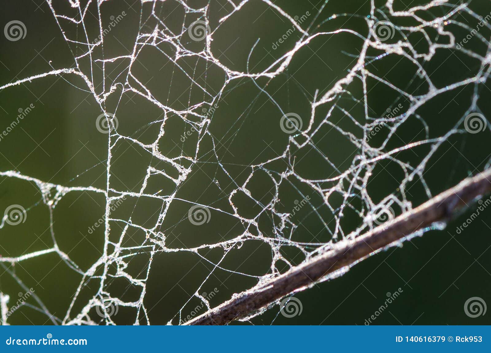 Close Look at a Torn and Raggedy Spider Web Stock Image - Image of ...