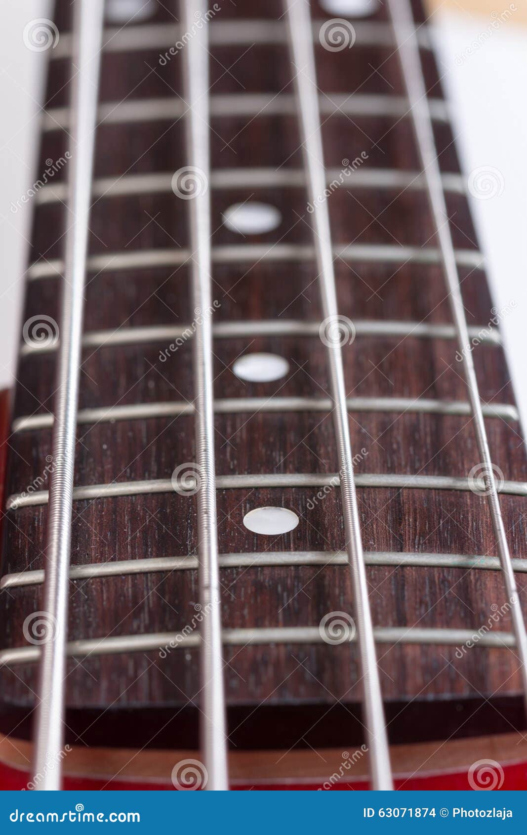 Close Macro Guitar Bas Frets Neck Strings Stock Photo - Image of close ...