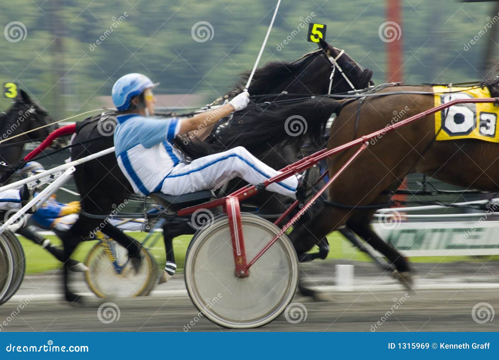 Close race call stock image. Image of horse, trotter, winner - 1315969