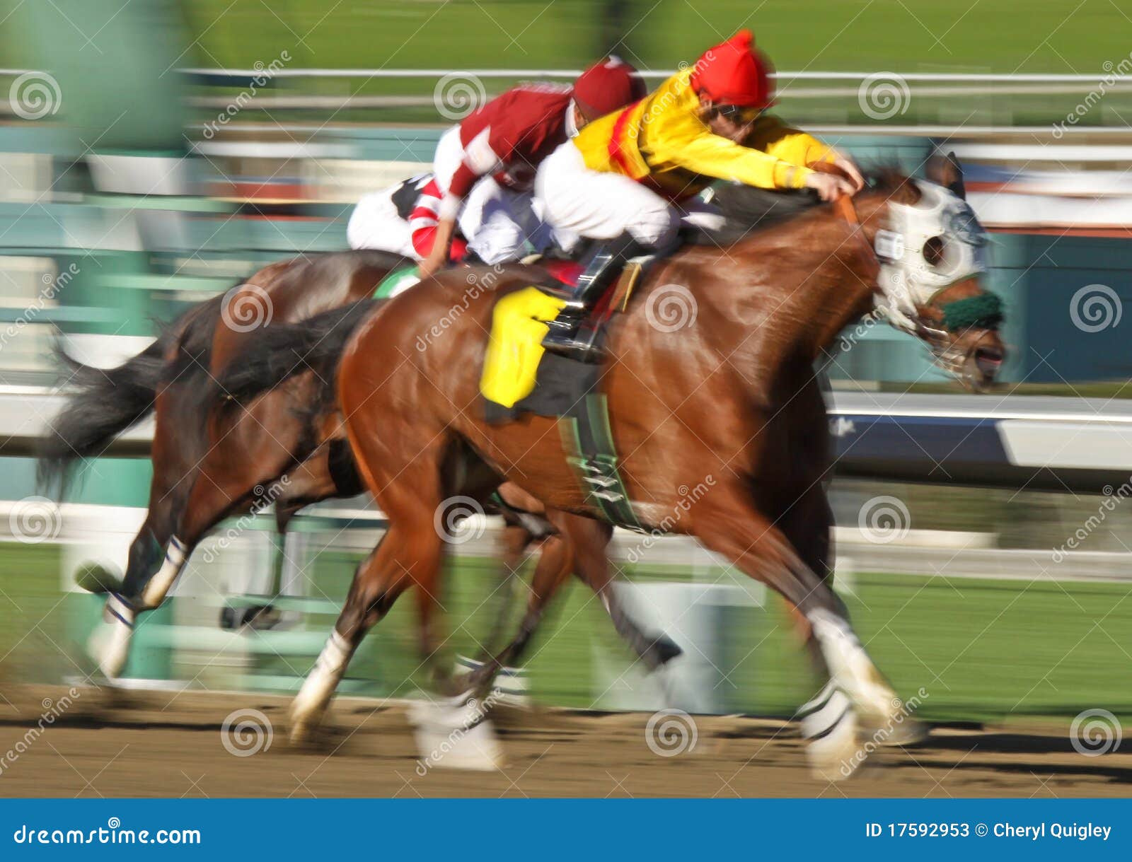Close Race Down the Homestretch Editorial Stock Photo - Image of action ...