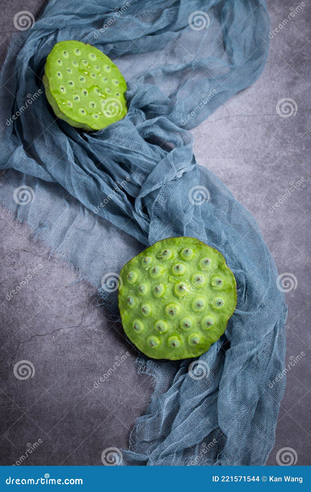 Fresh lotus stock photo. Image of cooling, seed, heat - 221571544